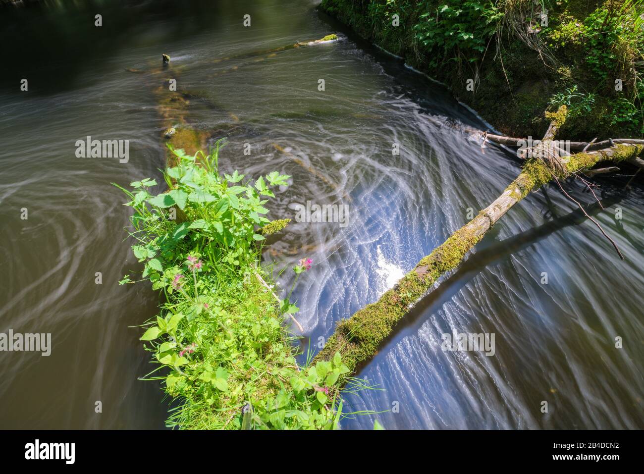 River, plants, long exposure Stock Photo - Alamy