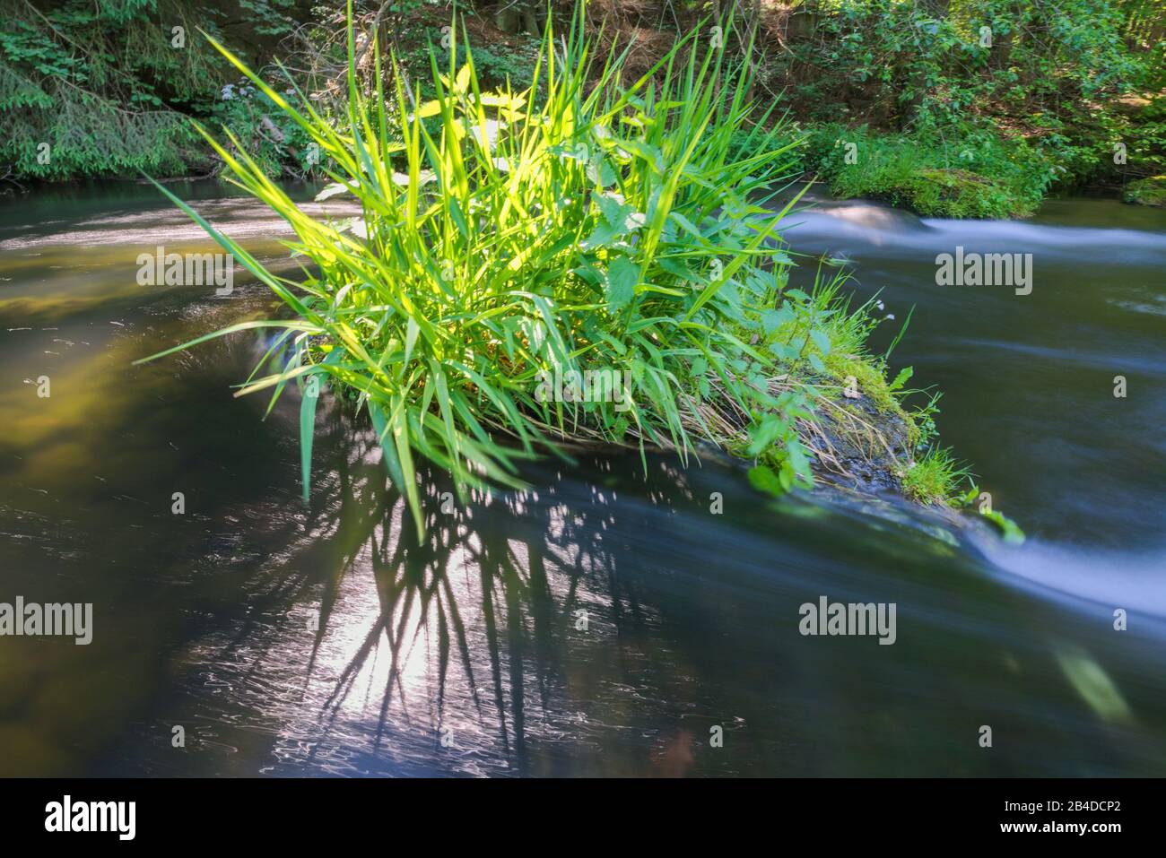 River, plants, long exposure Stock Photo - Alamy