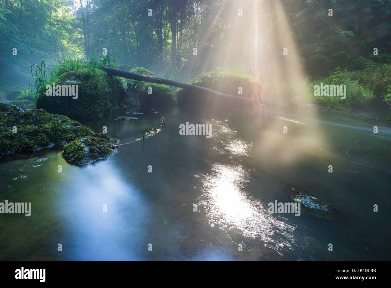 Brook, sunrise, fog Stock Photo - Alamy