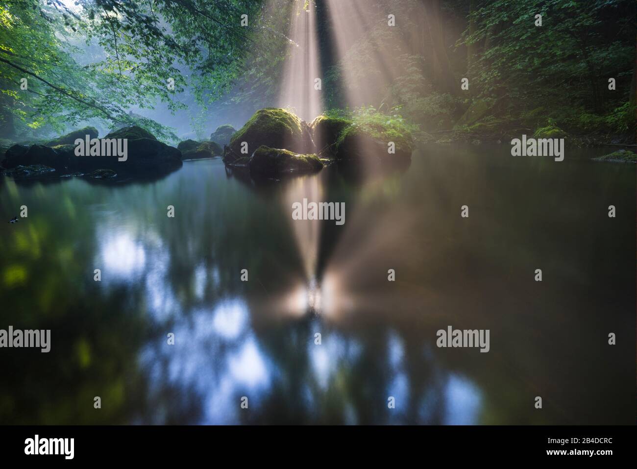 Brook, sunrise, fog Stock Photo - Alamy