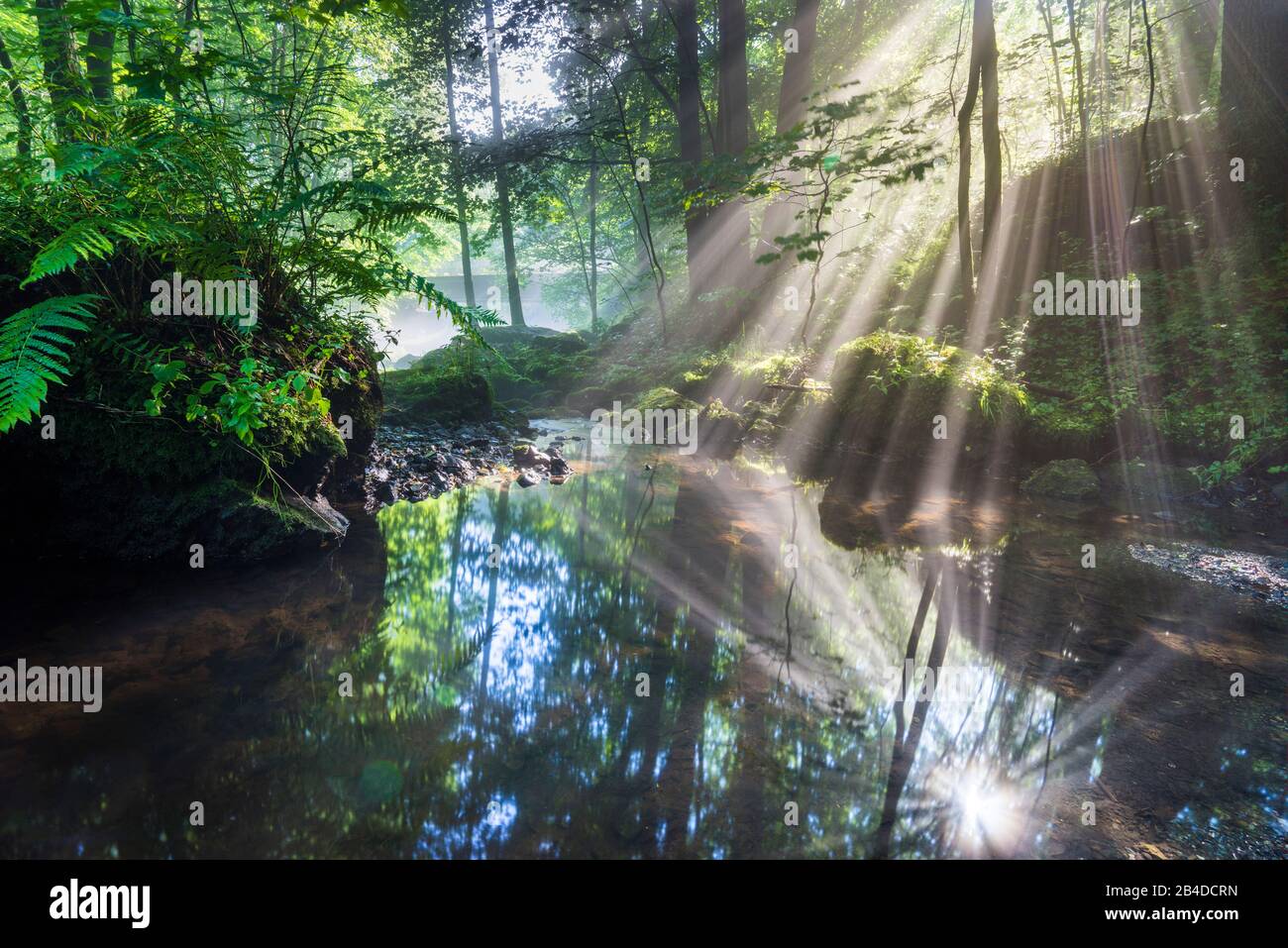 Fog swaths hi-res stock photography and images - Alamy