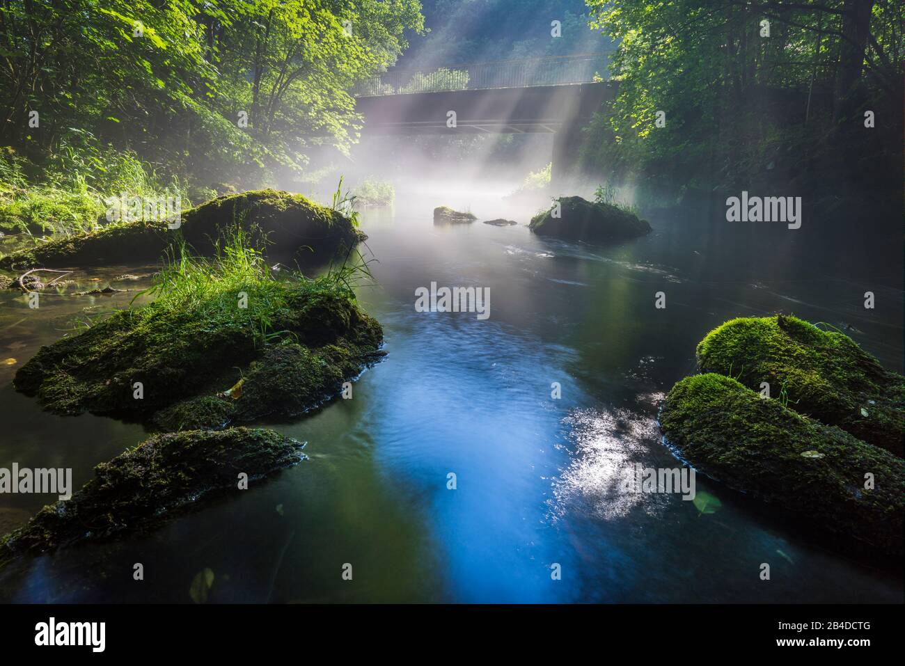 Brook, sunrise, fog Stock Photo - Alamy