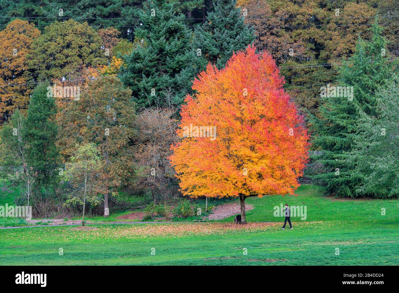Beautiful fall colors on hi-res stock photography and images - Alamy