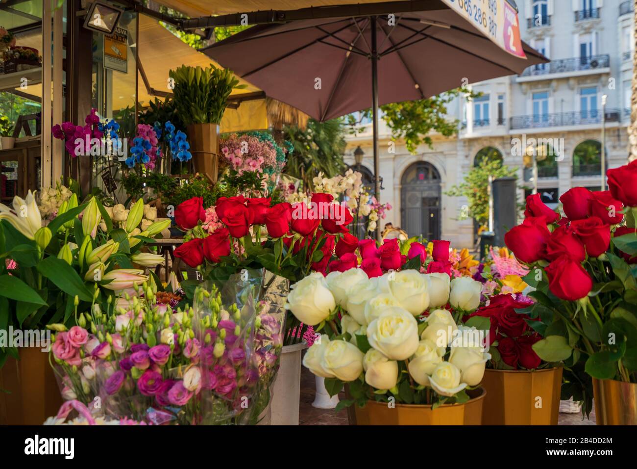 Flower Market in Valencia, Spain Stock Photo - Alamy