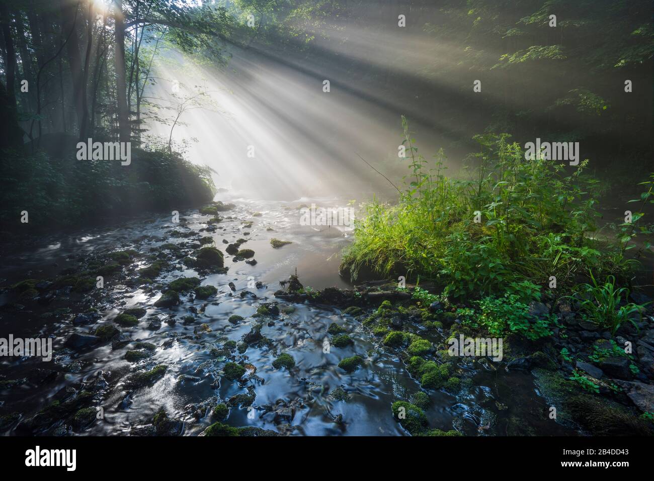 Shadows brook with stones hi-res stock photography and images - Alamy
