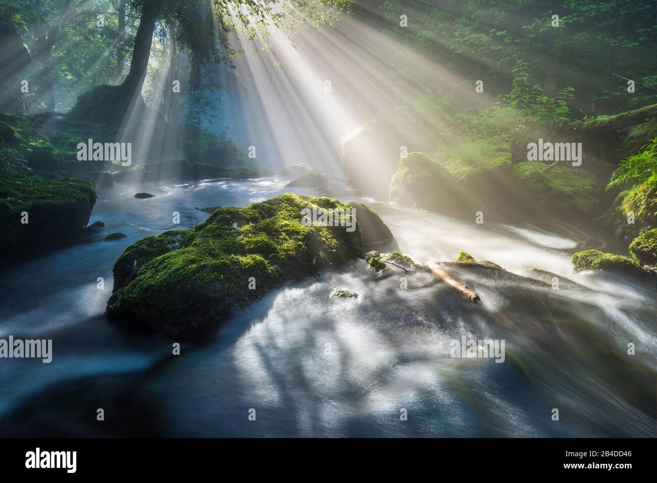Brook, sunrise, fog Stock Photo - Alamy