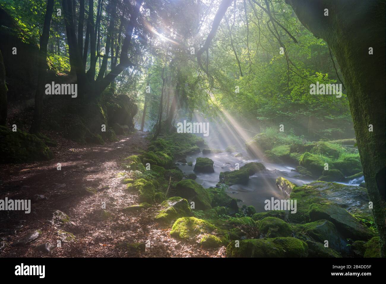 Shadows brook with stones hi-res stock photography and images - Alamy