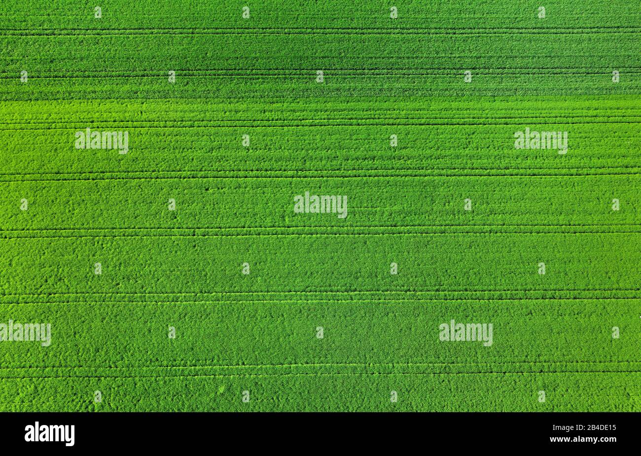 Field green europe hi-res stock photography and images - Alamy