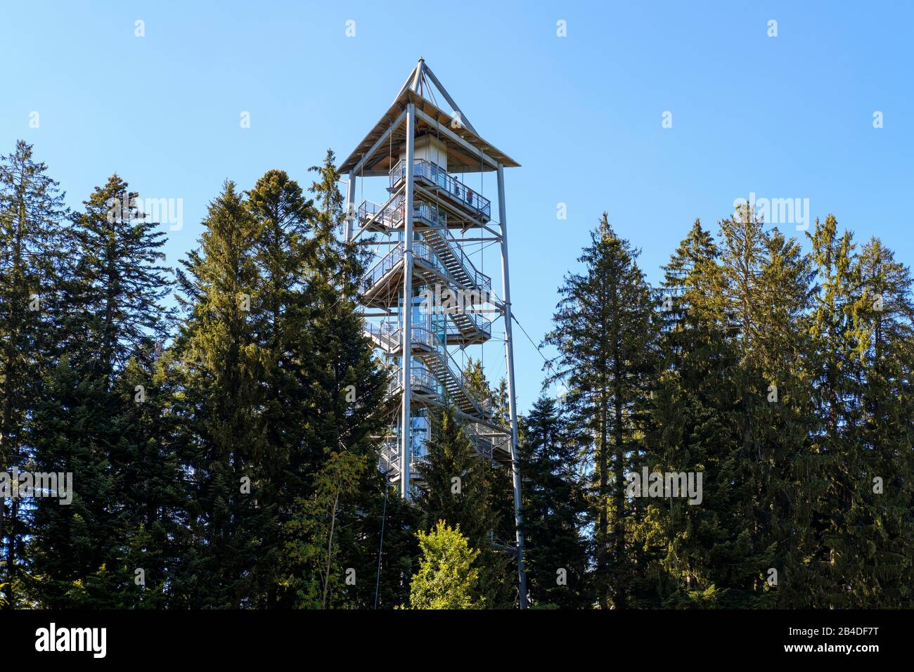 Observation tower skywalk allgäu, treetop path at Scheidegg, West ...
