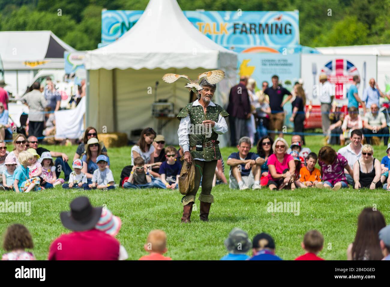 Uk falconry show hi-res stock photography and images - Alamy
