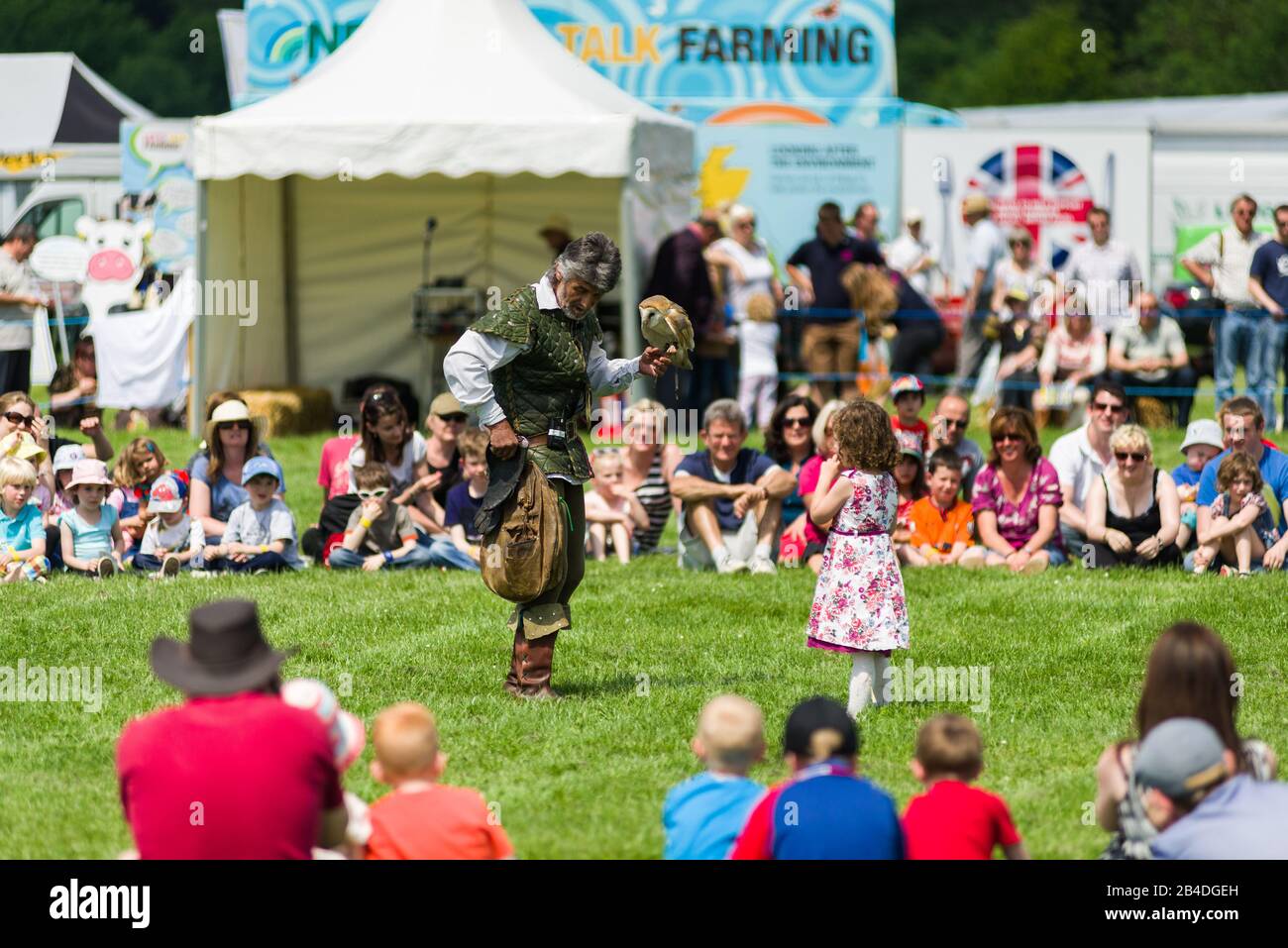 Uk falconry show hi-res stock photography and images - Alamy