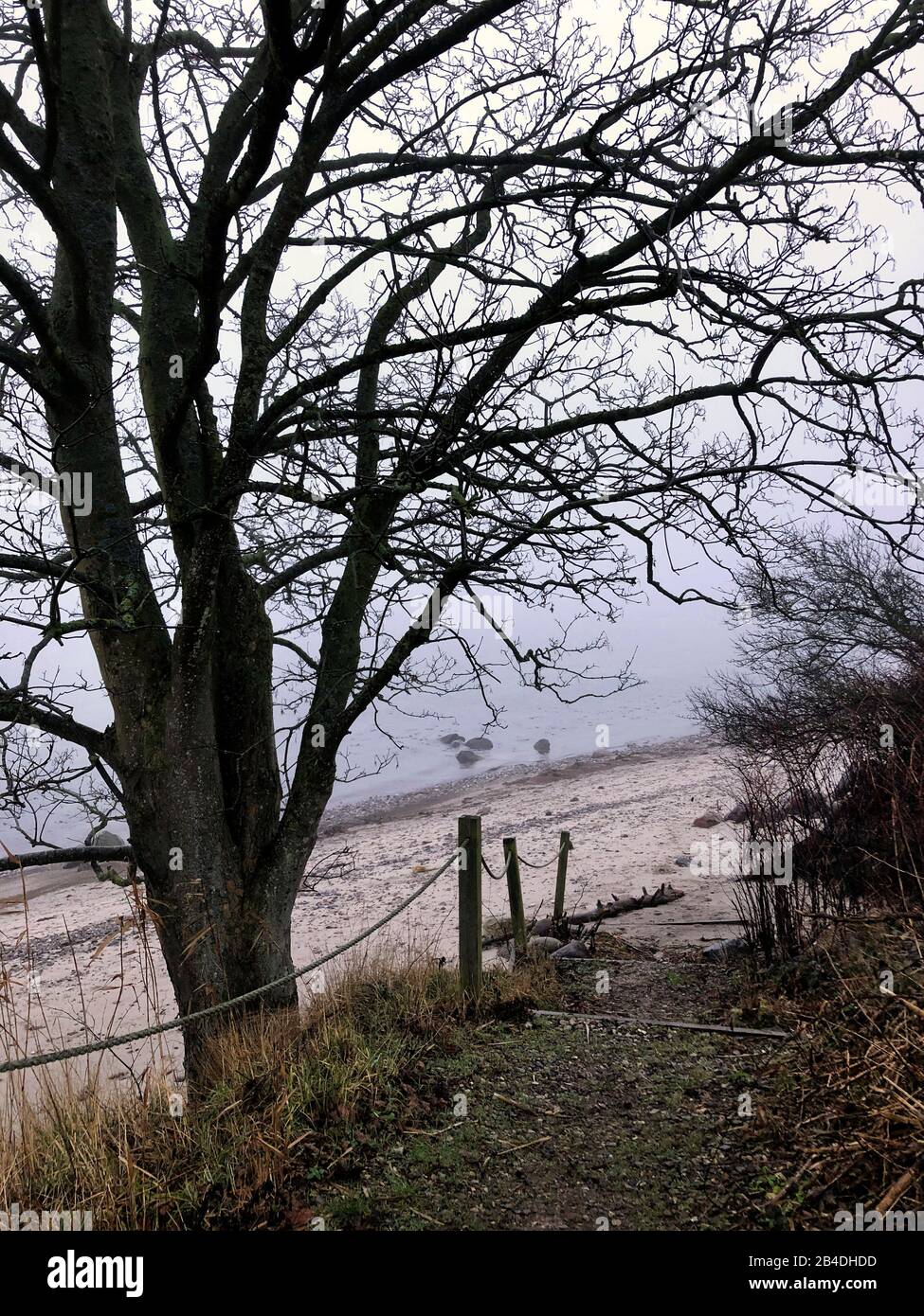 Landschaft strand hi-res stock photography and images - Alamy