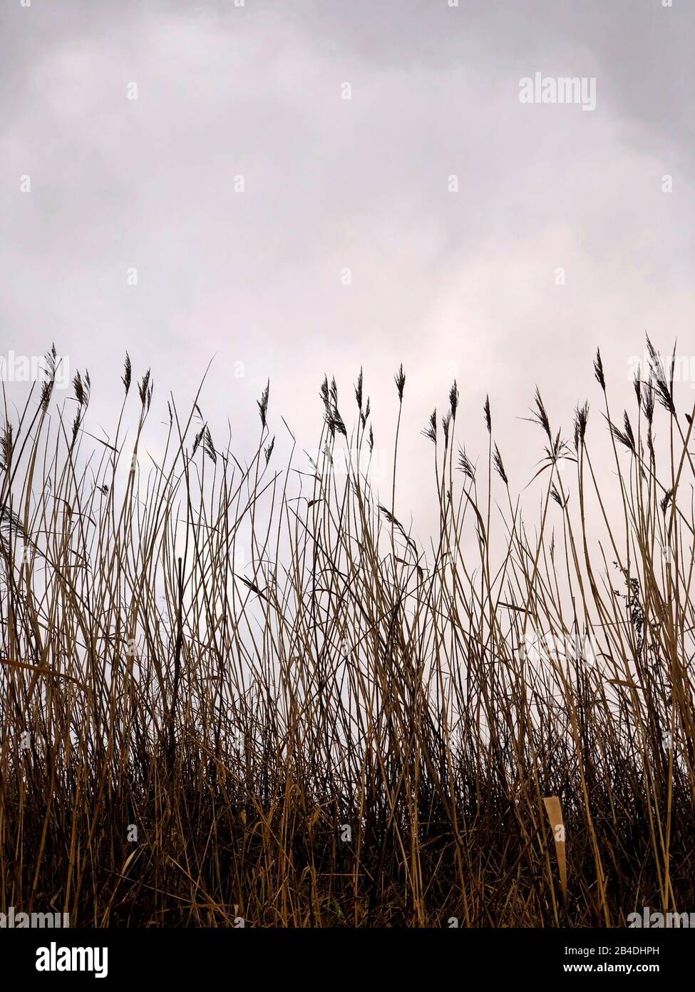 Insel als hi-res stock photography and images - Alamy