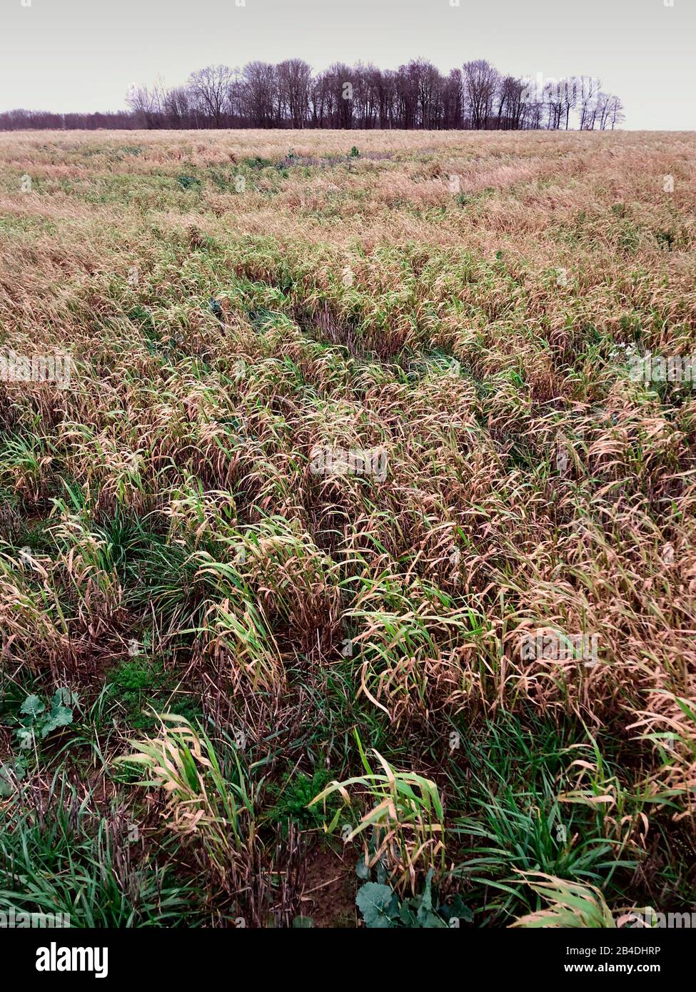 Insel alsen hi-res stock photography and images - Alamy