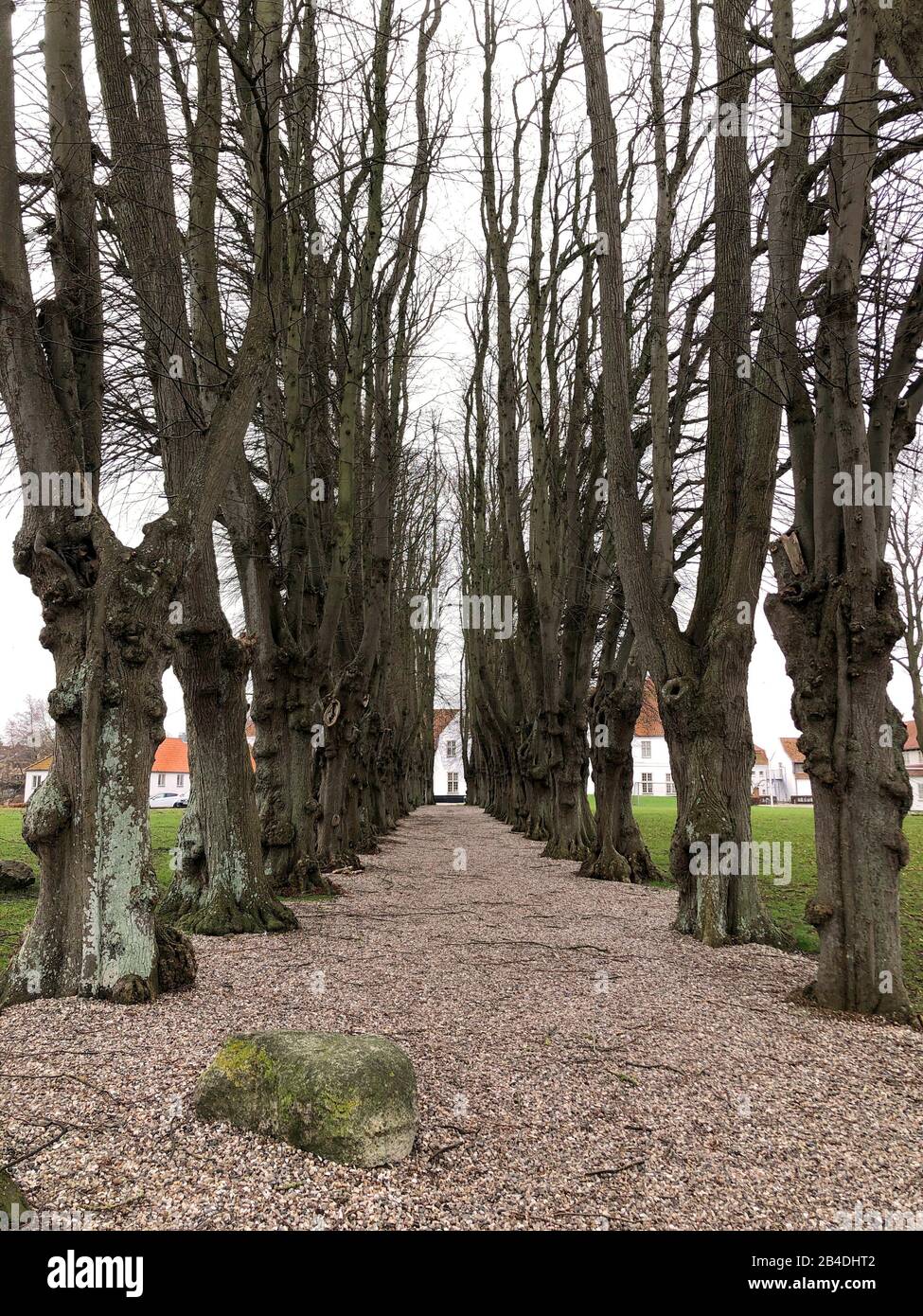 Insel alsen hi-res stock photography and images - Alamy