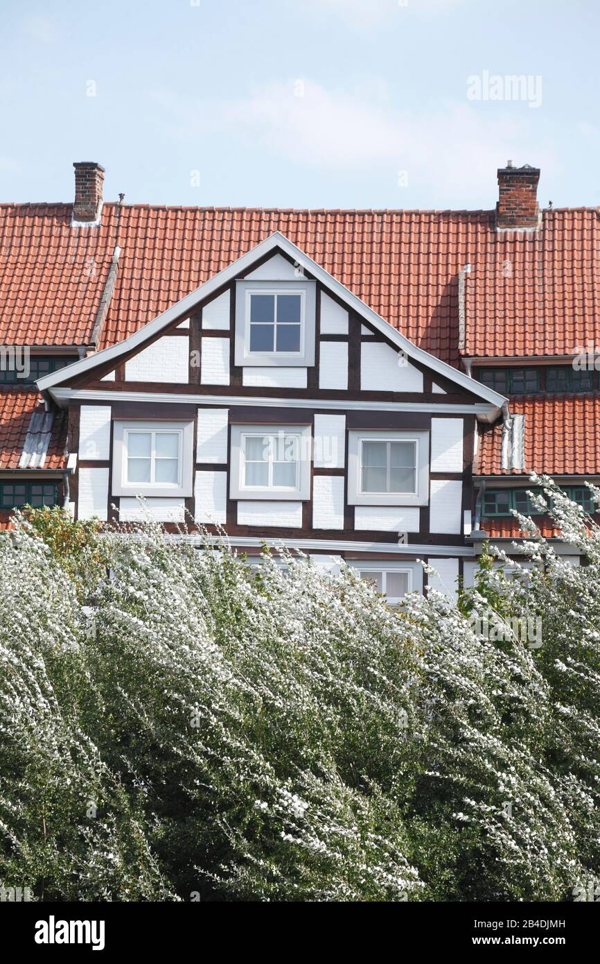 Behr an der Weser manor, Hoya, Lower Saxony, Germany, Europe Stock ...