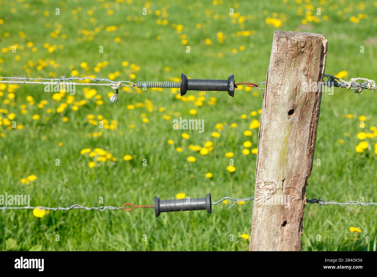 Tension wire fence wooden post hi-res stock photography and images - Alamy