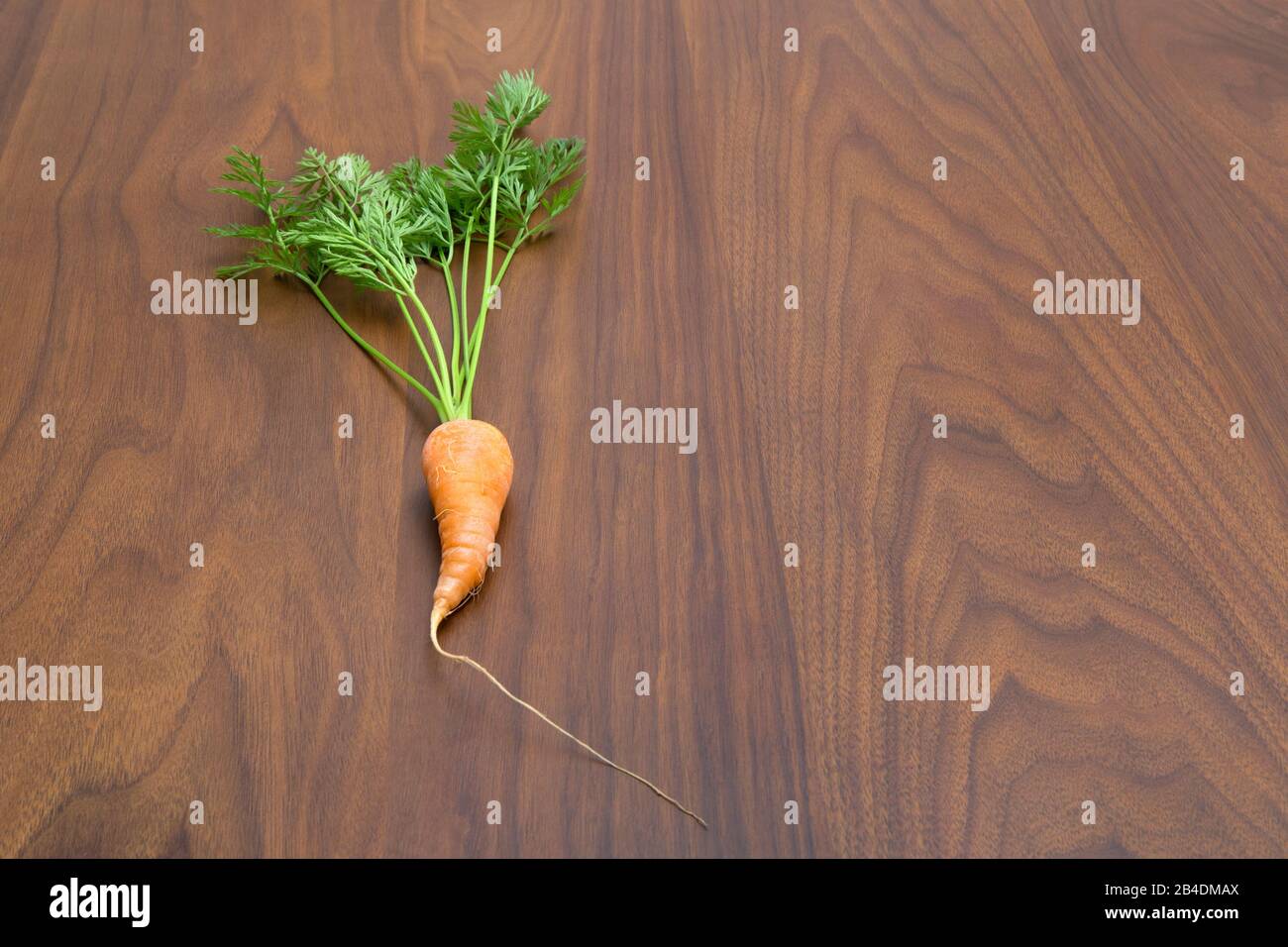 Carrot With Leaves High Resolution Stock Photography and Images - Alamy