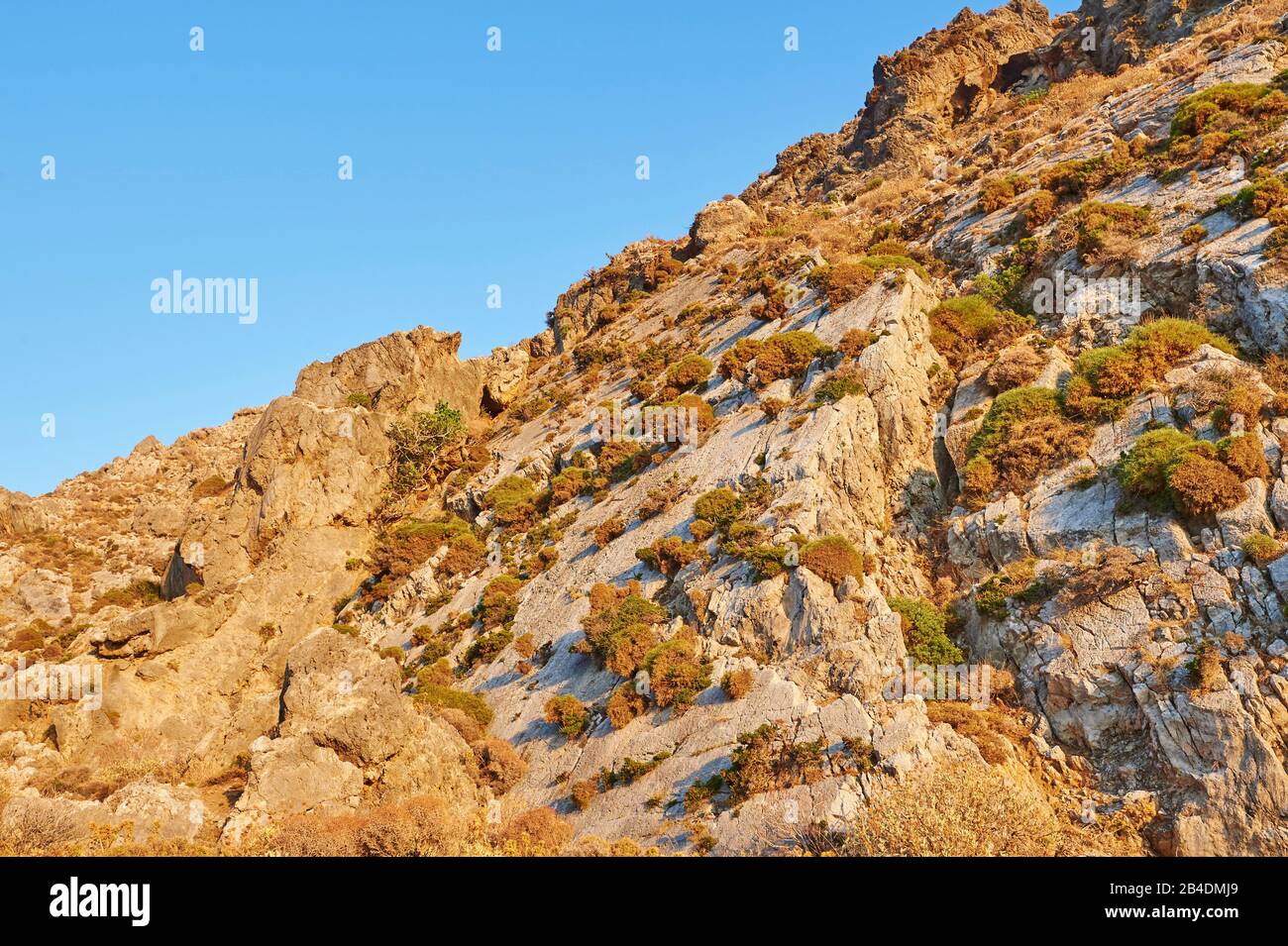 Landscape, vegetation, stone wall, Crete, Greece Stock Photo - Alamy