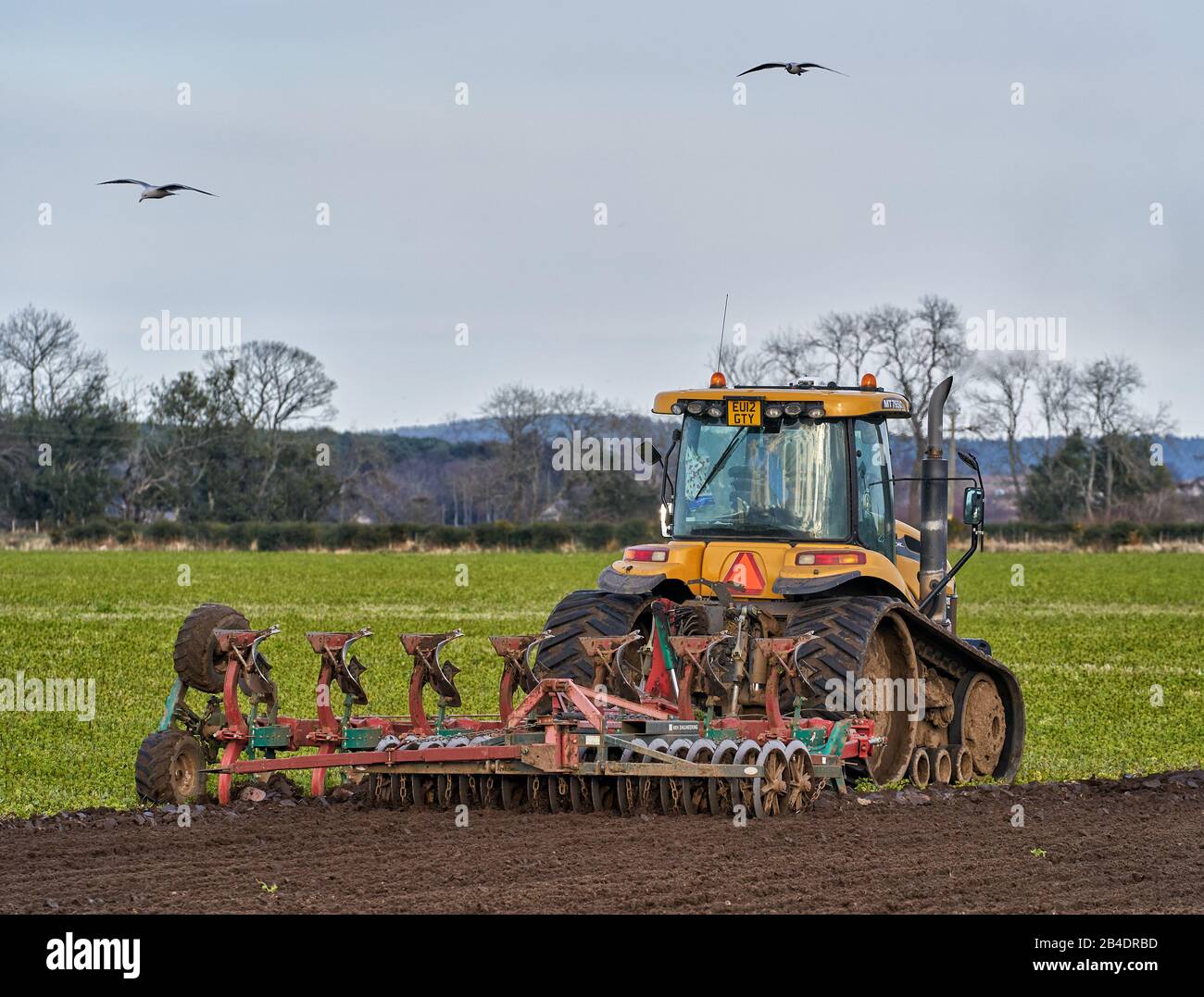 Lhanbryde, Moray, UK. 6th Feb, 2020. UK. This is Bill Smith ploughing ...