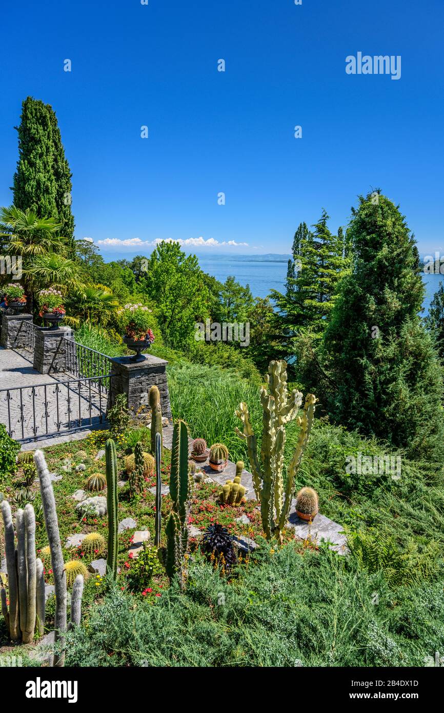 Terrassen terrasse hi-res stock photography and images - Alamy