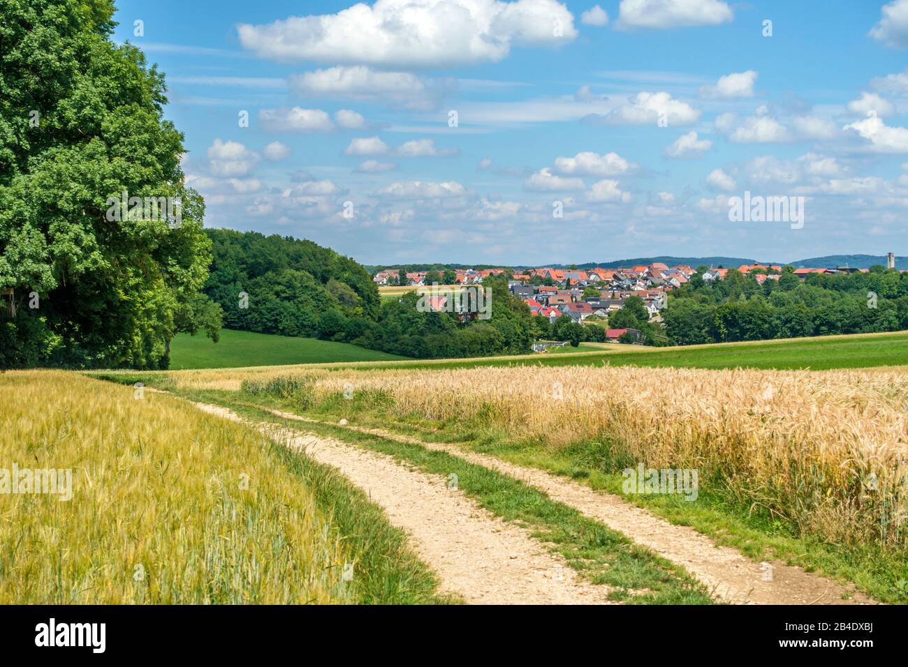 Germany, Baden-Württemberg, Hülben, landscape southwest of Hülben Stock ...