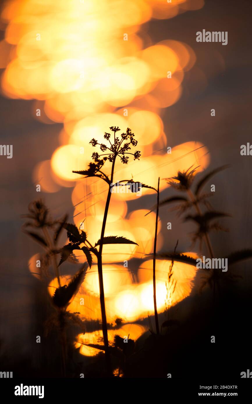 Shining light hi-res stock photography and images - Alamy