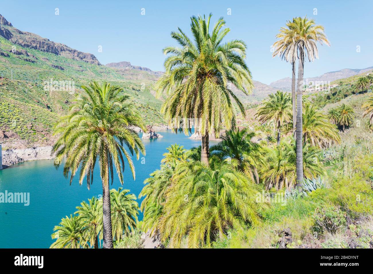 River flowing through mountain hi-res stock photography and images - Alamy