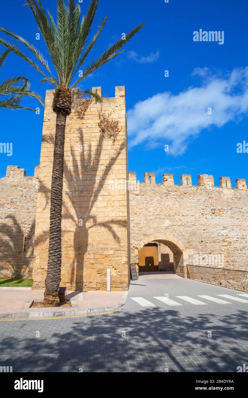 The medieval walls of Alcudia, Alcudia, Mallorca, Balearic Islands ...