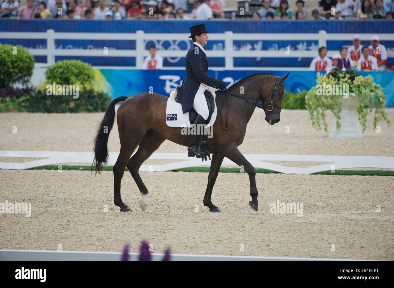 Time test horse hi-res stock photography and images - Alamy