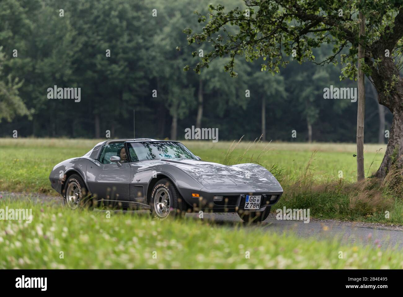 Bad König, Hesse, Germany, Chevrolet Corvette C3, built in 2002, 5.7 ...