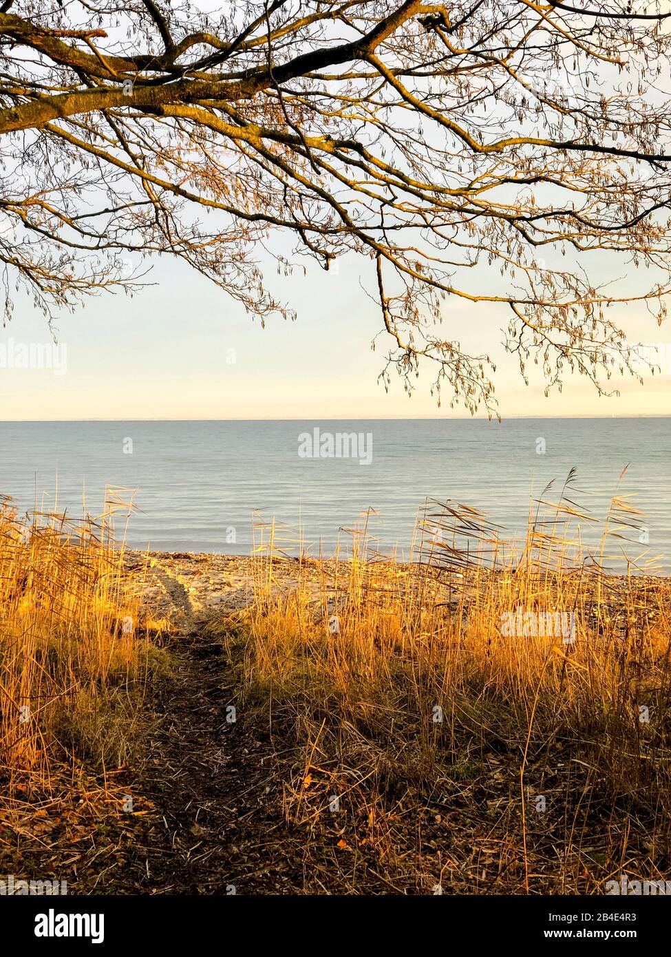 Insel alsen hi-res stock photography and images - Alamy