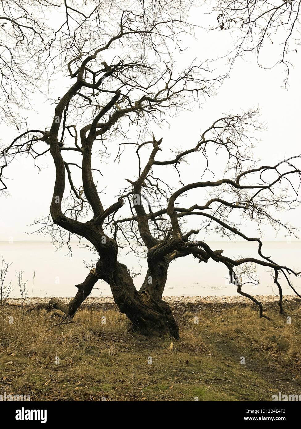 Insel alsen hi-res stock photography and images - Alamy