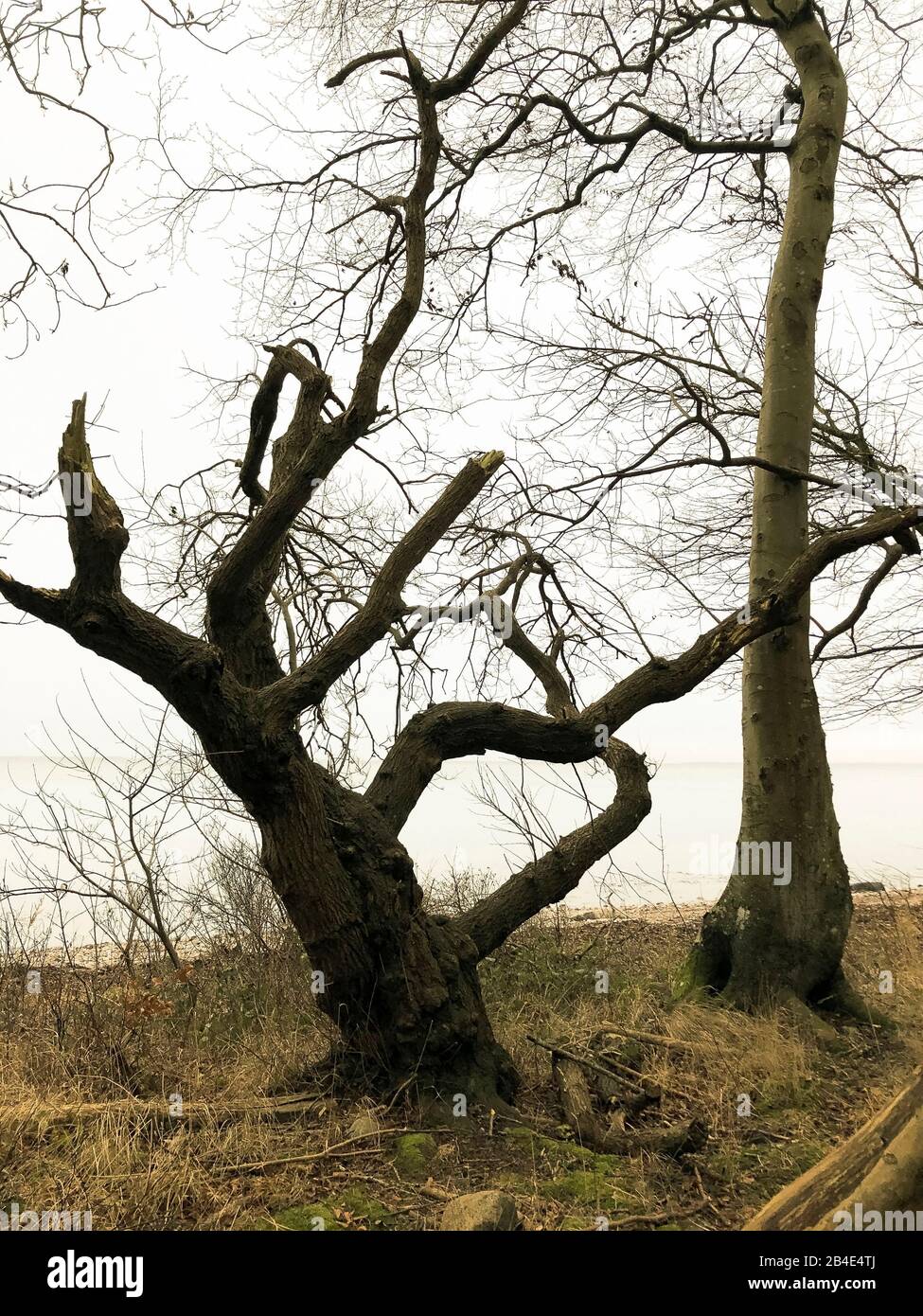 Insel alsen hi-res stock photography and images - Alamy