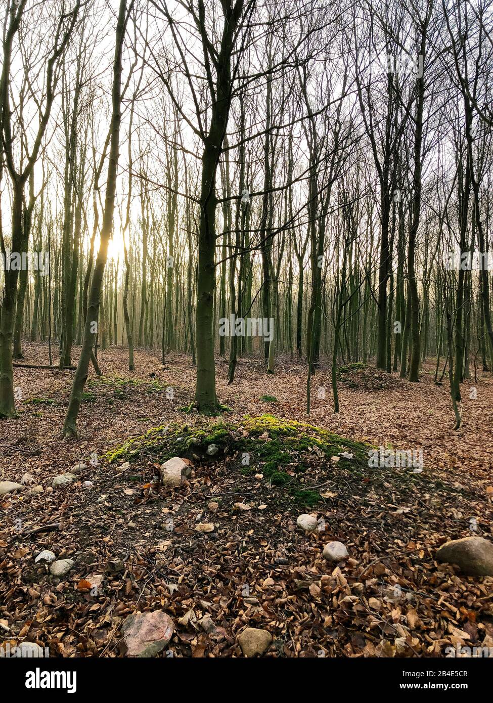 Insel alsen hi-res stock photography and images - Alamy