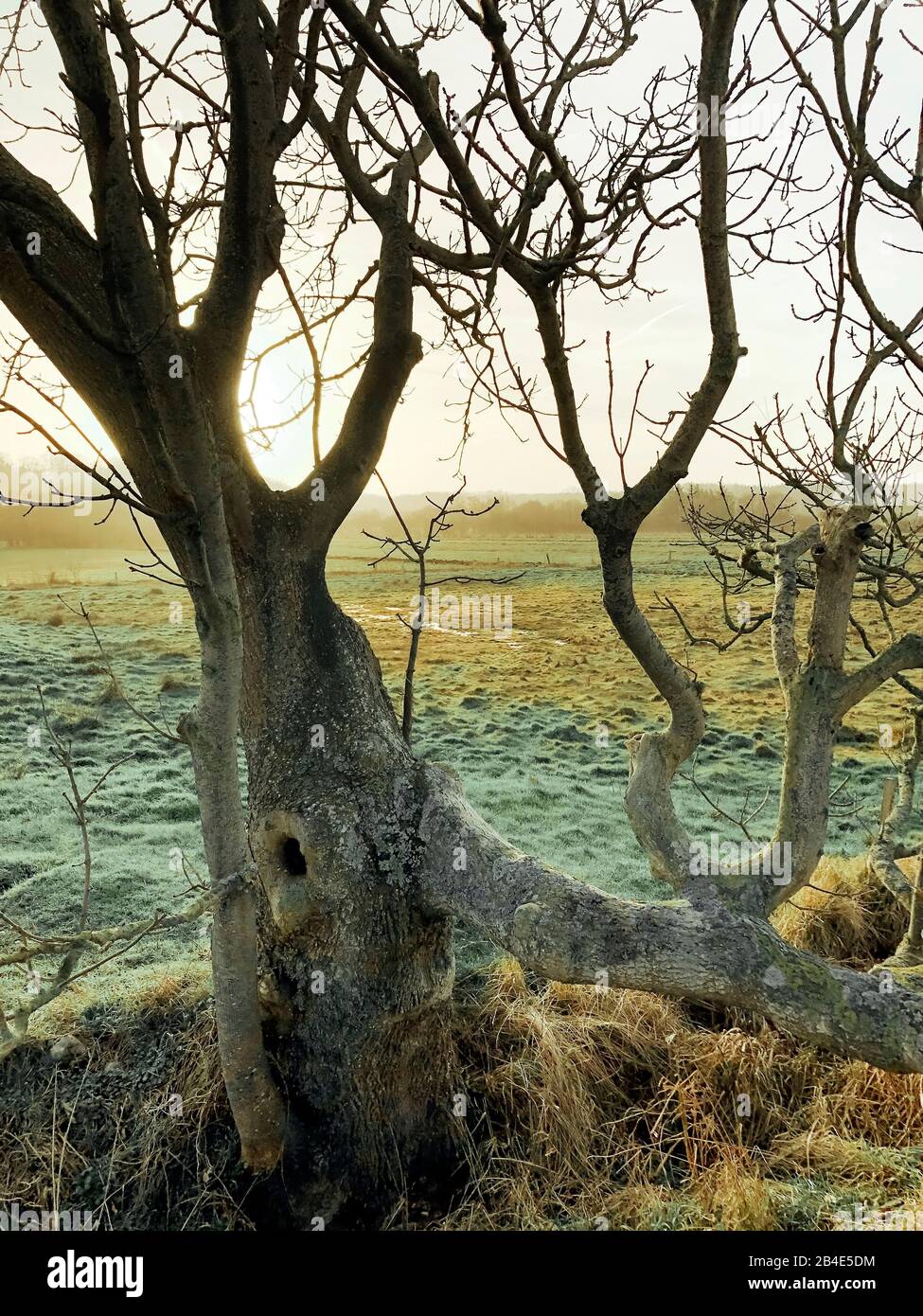 Insel alsen hi-res stock photography and images - Alamy