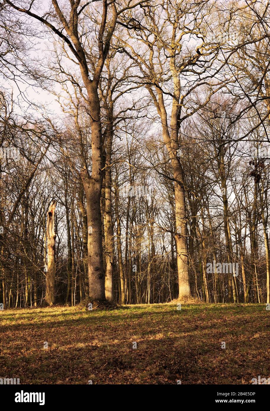 Insel alsen hi-res stock photography and images - Alamy