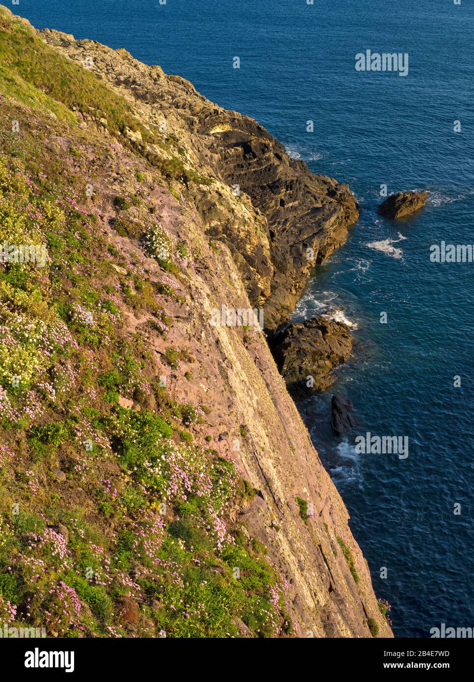 Cliff at st davids head hi-res stock photography and images - Alamy
