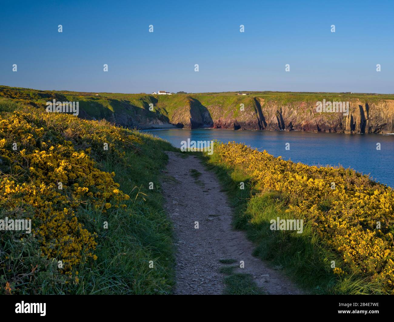 Cliff at st davids head hi-res stock photography and images - Alamy