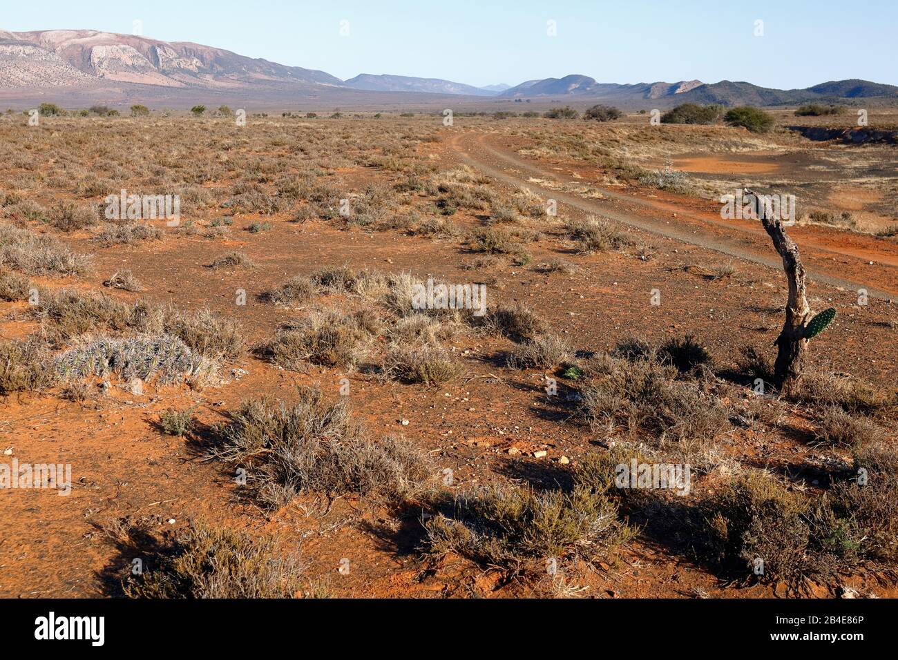 Steytlerville hi-res stock photography and images - Alamy