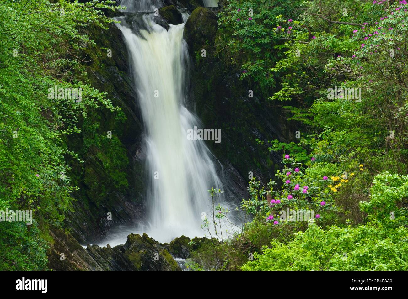 Great Britain, Wales, Cambrian Mountains, Mynach Falls waterfall at ...
