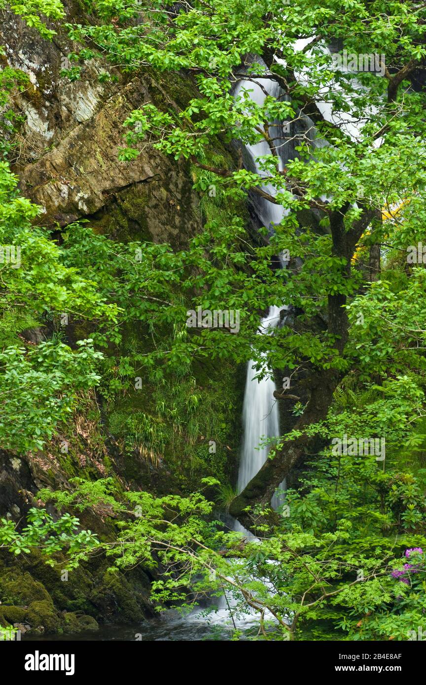 Mynach falls waterfall at devils bridge hi-res stock photography and ...