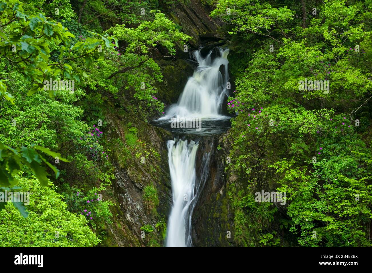 Great Britain, Wales, Cambrian Mountains, Mynach Falls waterfall at ...