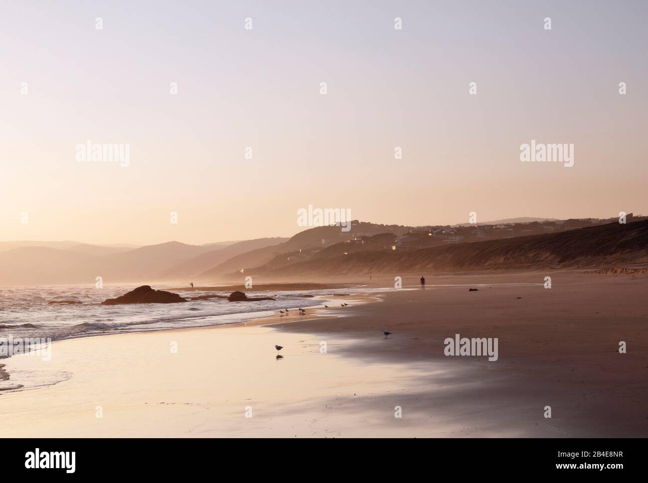 The last rays of sun dive a beach on the Great Ocean Road in yellow ...