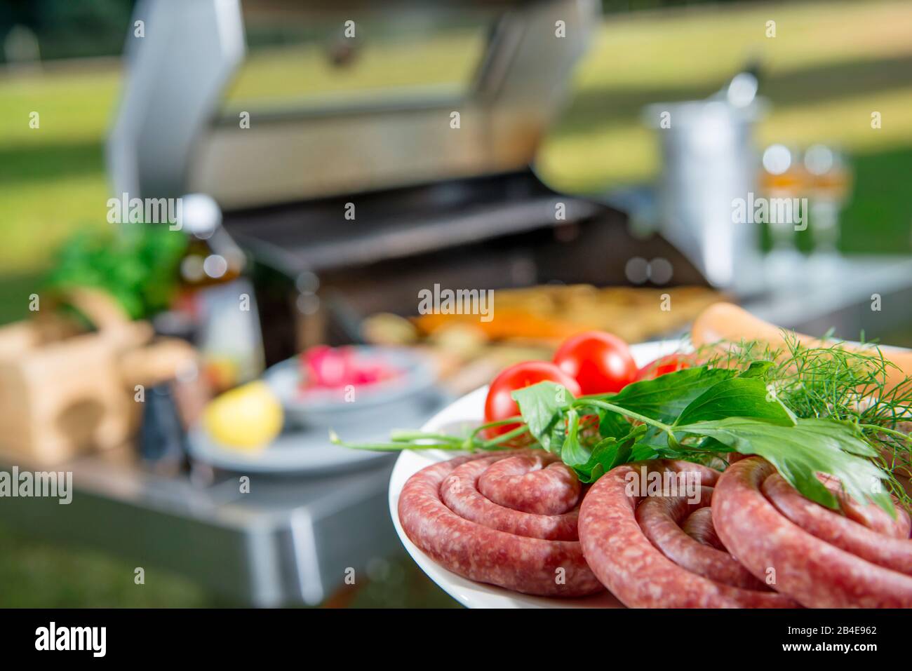 Barbecue with gas grill, barbecue Stock Photo - Alamy