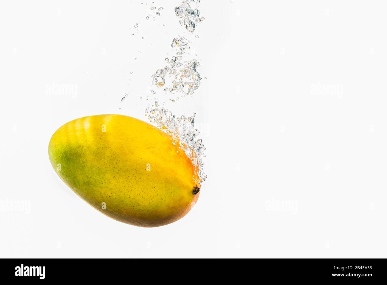 Mango fruit splashing into water, isolated on white background ...