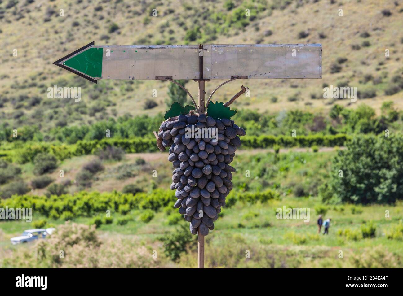 Armenian wine grapes hi-res stock photography and images - Alamy