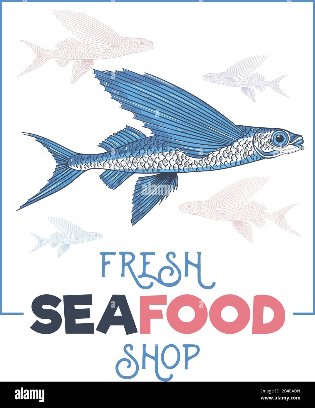 Flyingfish hi-res stock photography and images - Alamy