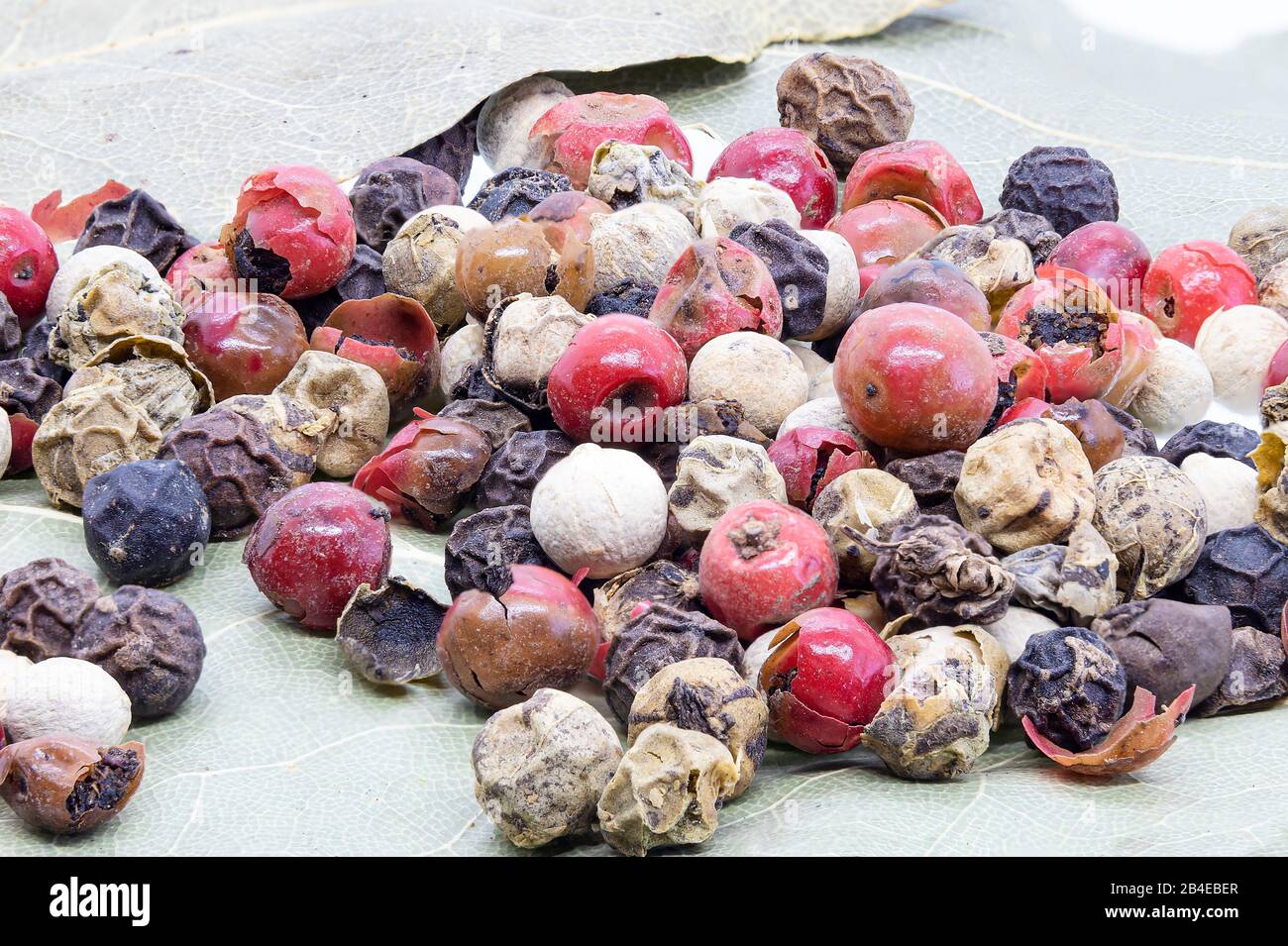 Mixed of peppers hot, red, black, white and green pepper. Different ...