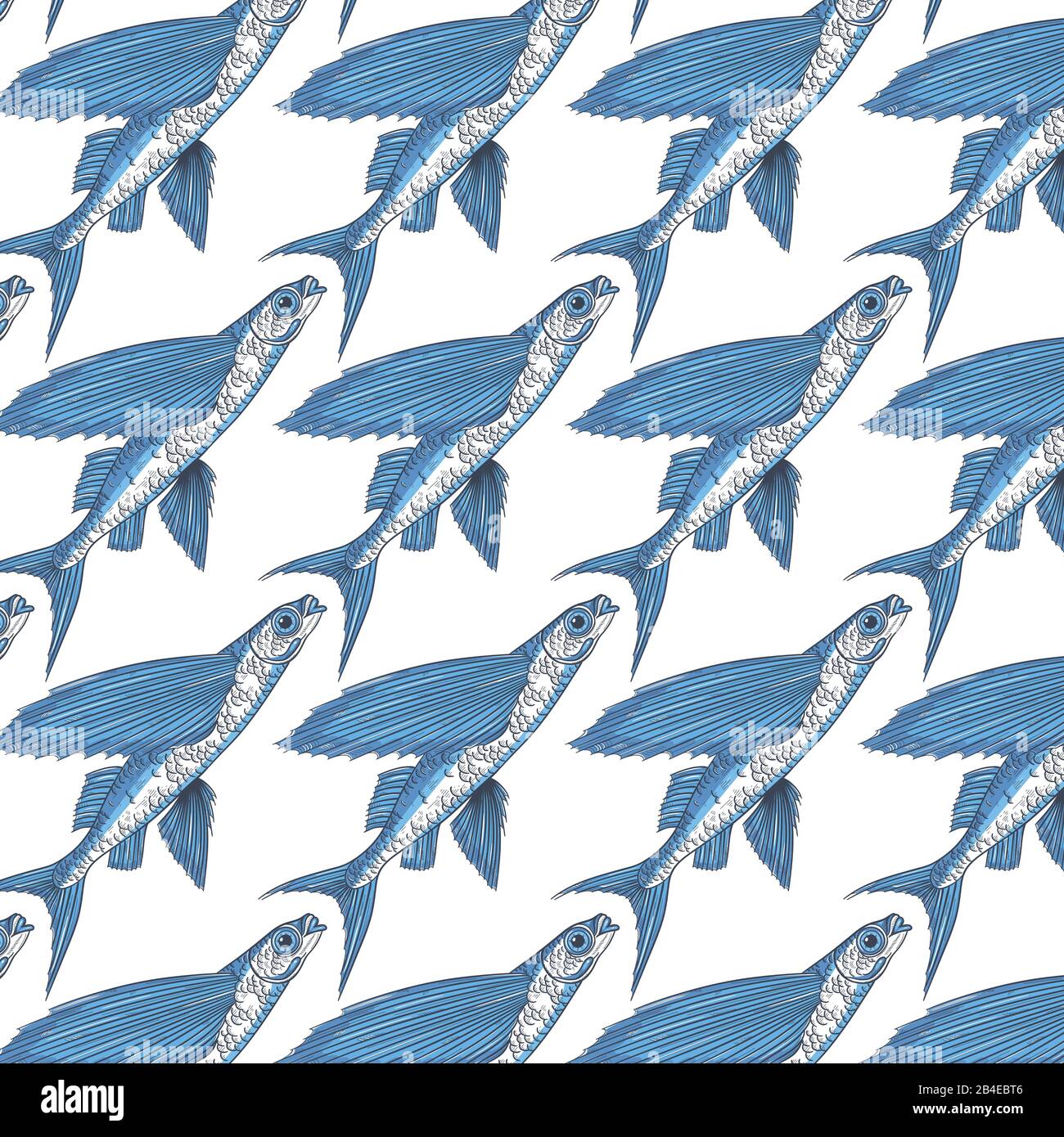 Exocoetidae or Flying fish hand drawing Stock Vector Image & Art - Alamy